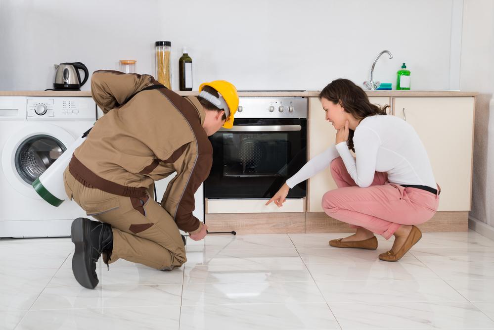 How to Start a Pest Control Business – A Comprehensive Guide